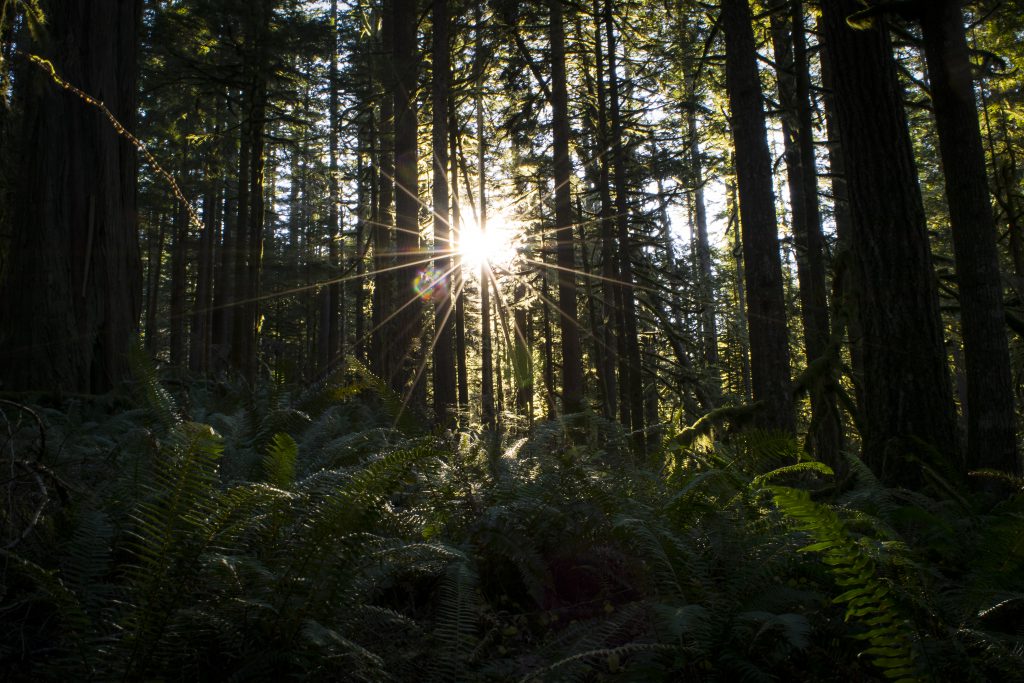 Code of Conduct - High Desert Museum