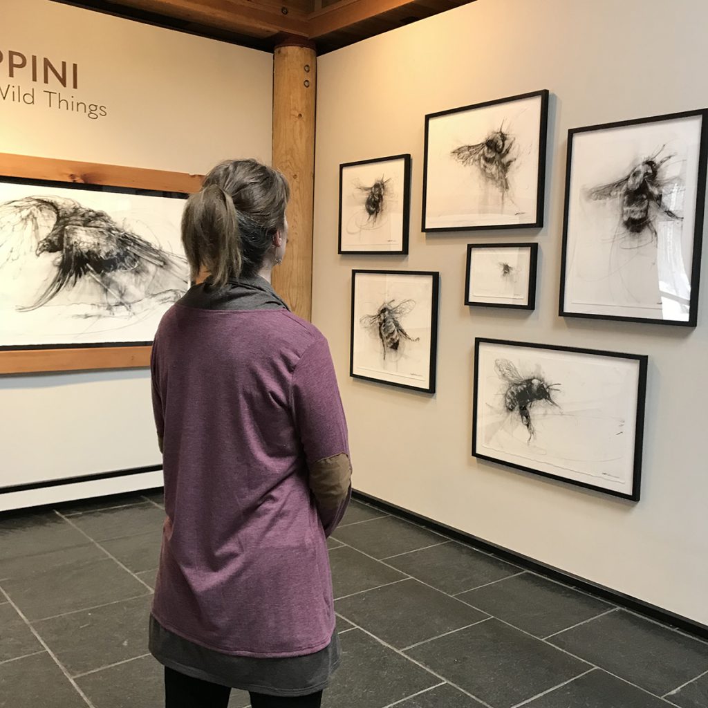 A Conversation with Artist April Coppini - High Desert Museum