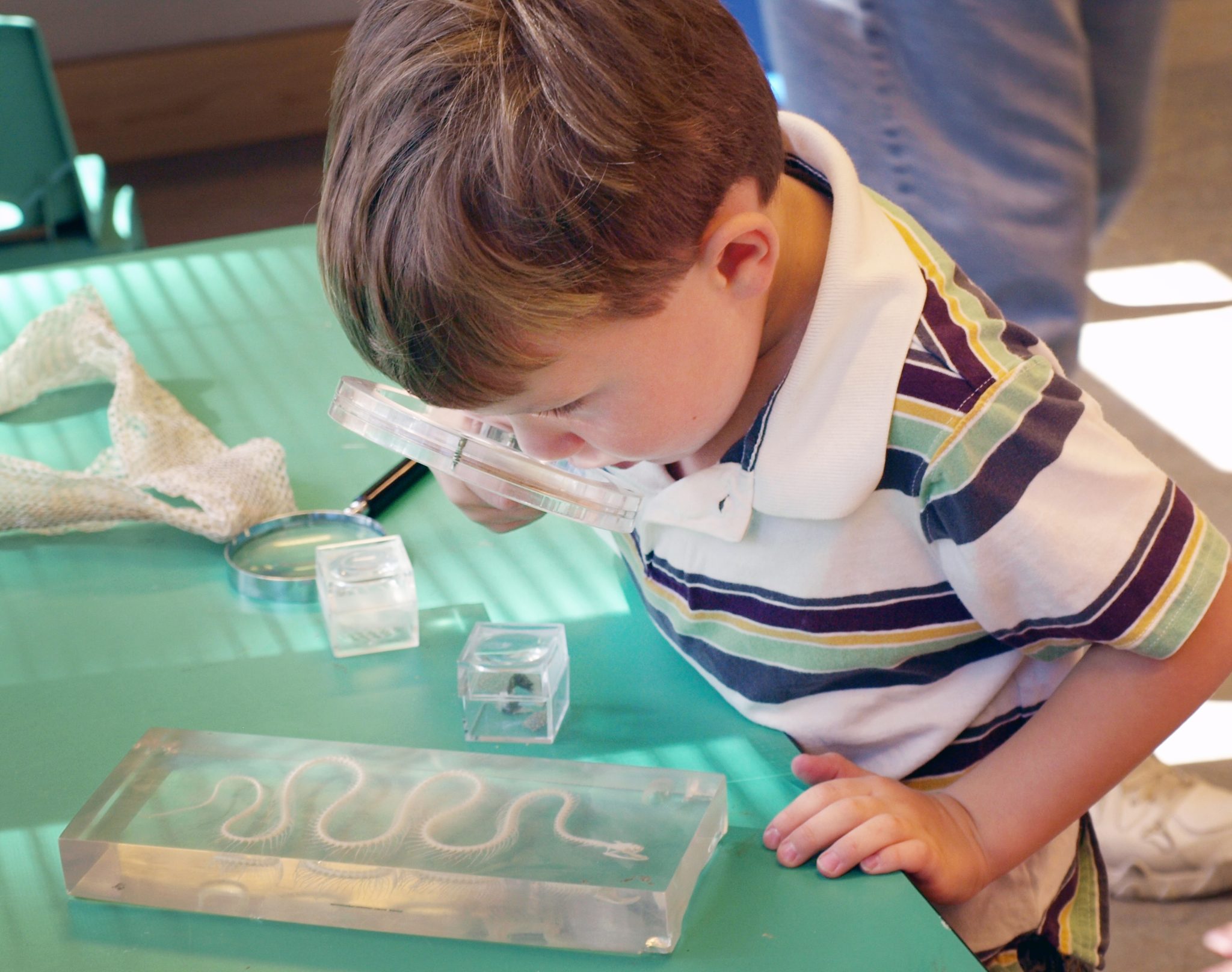 Backpack Explorers - High Desert Museum