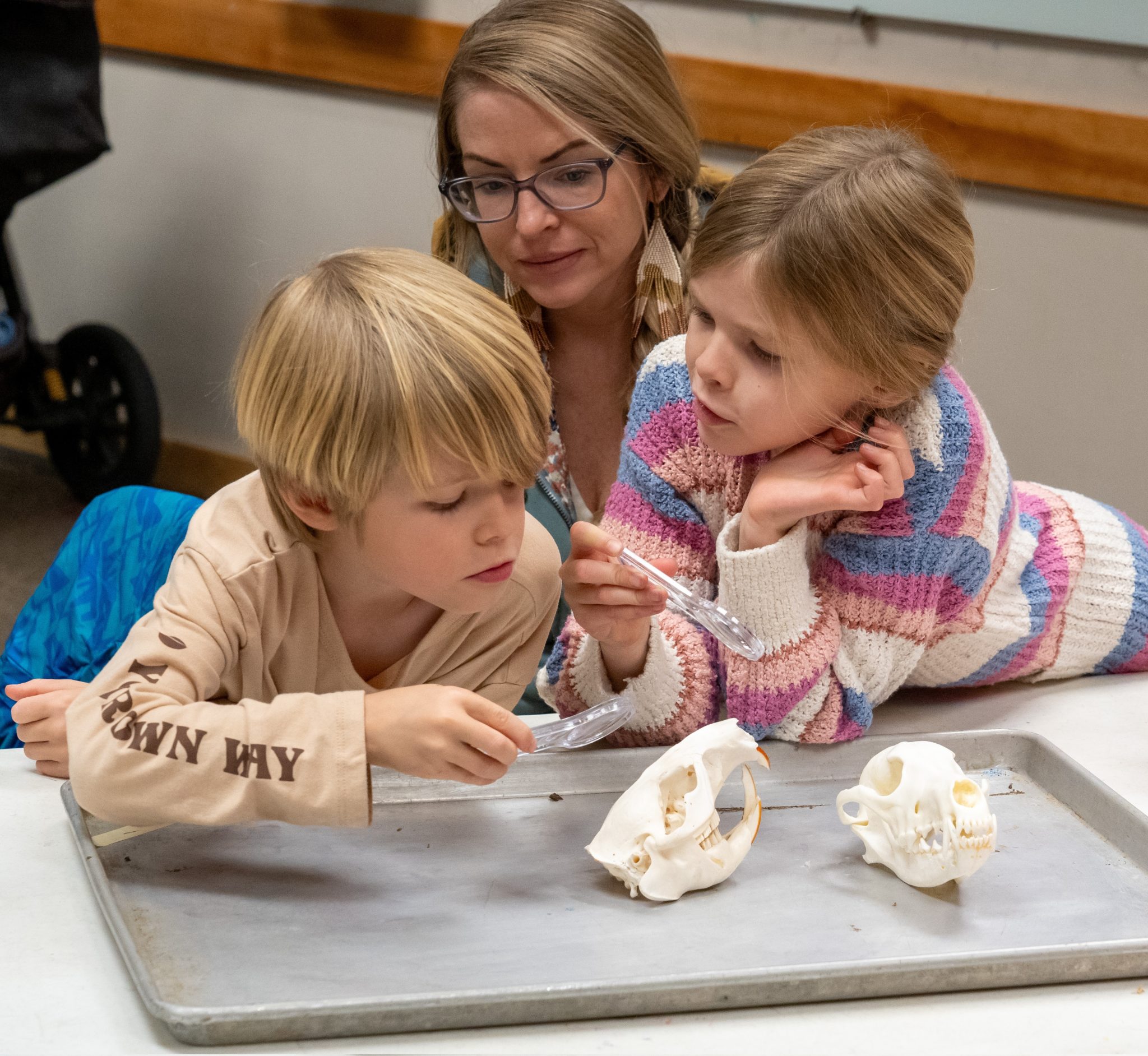 Free Field Trip Program - High Desert Museum