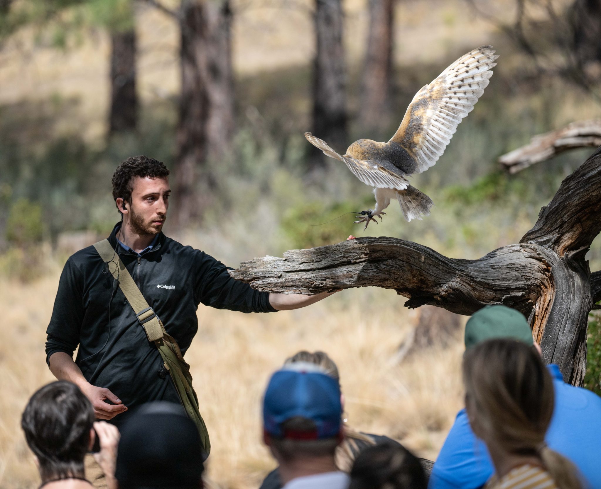 Daily Schedule - High Desert Museum