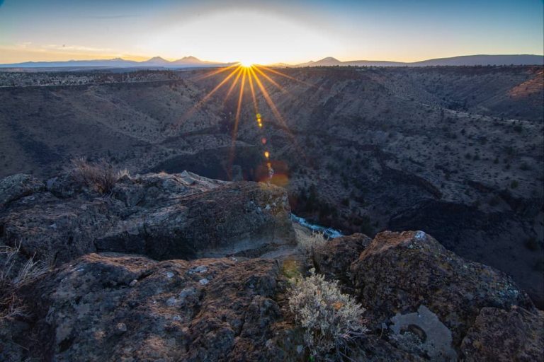 Get Involved - High Desert Museum