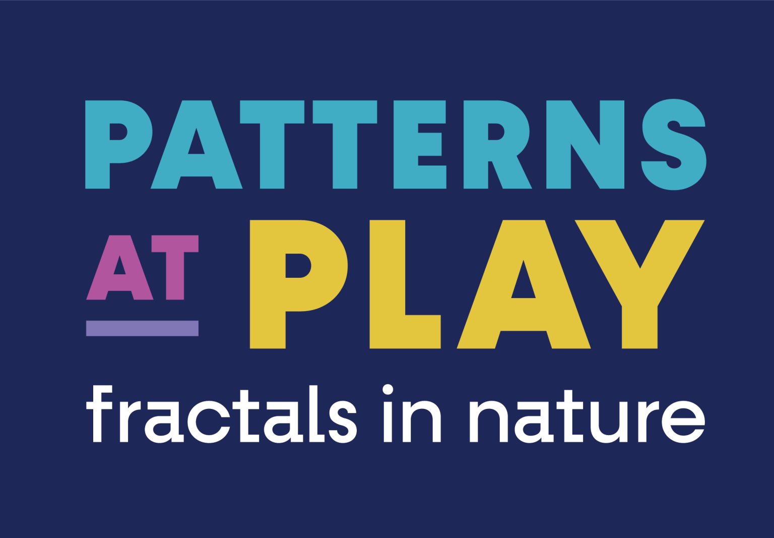 Patterns at Play: Fractals in Nature - High Desert Museum