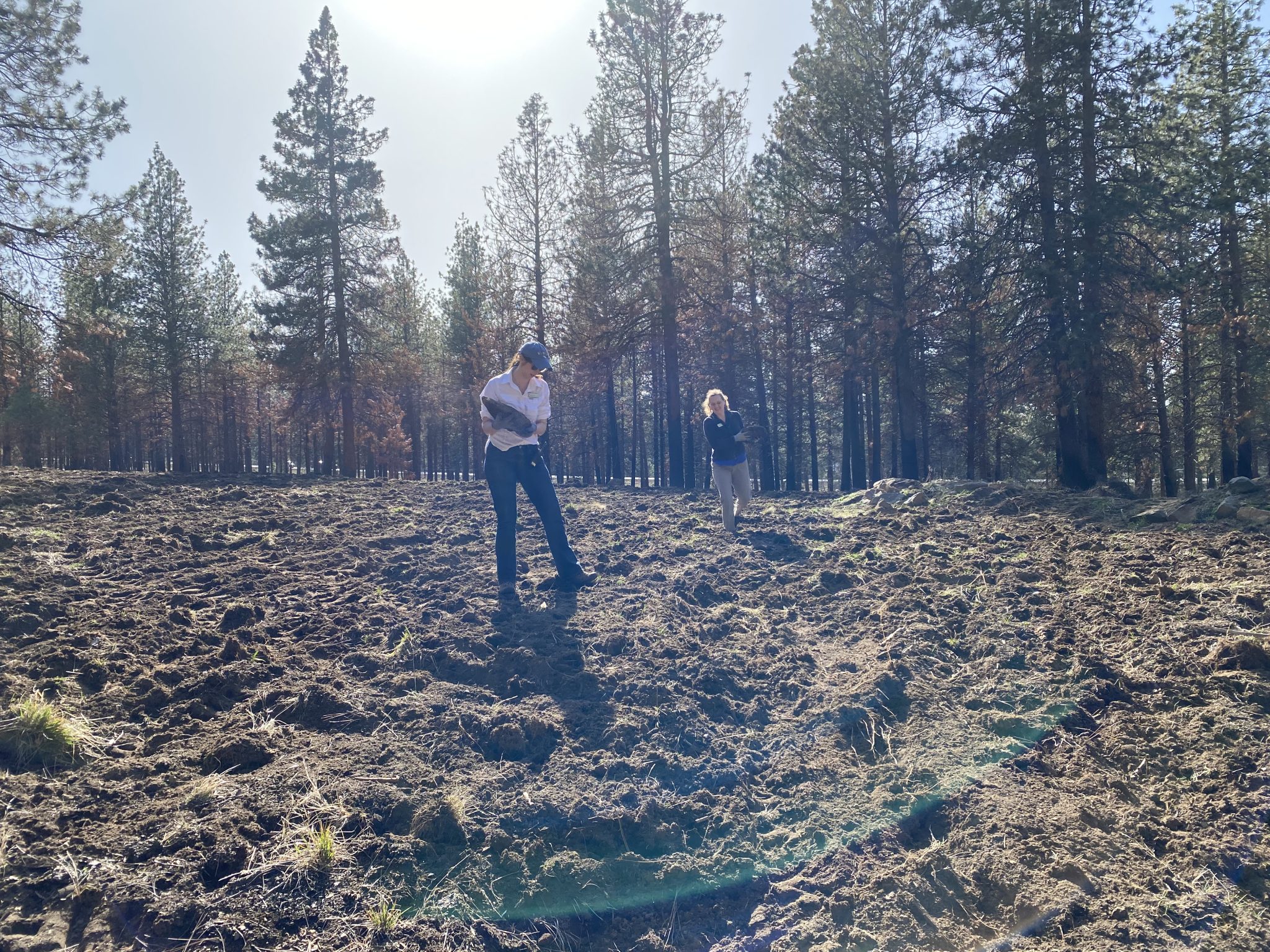 Habitat Restoration and Rehabilitation - High Desert Museum